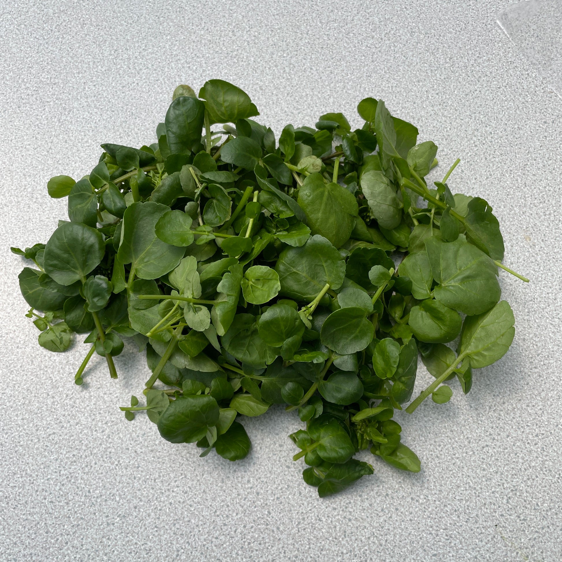 Medium Box – EcoGro Farm