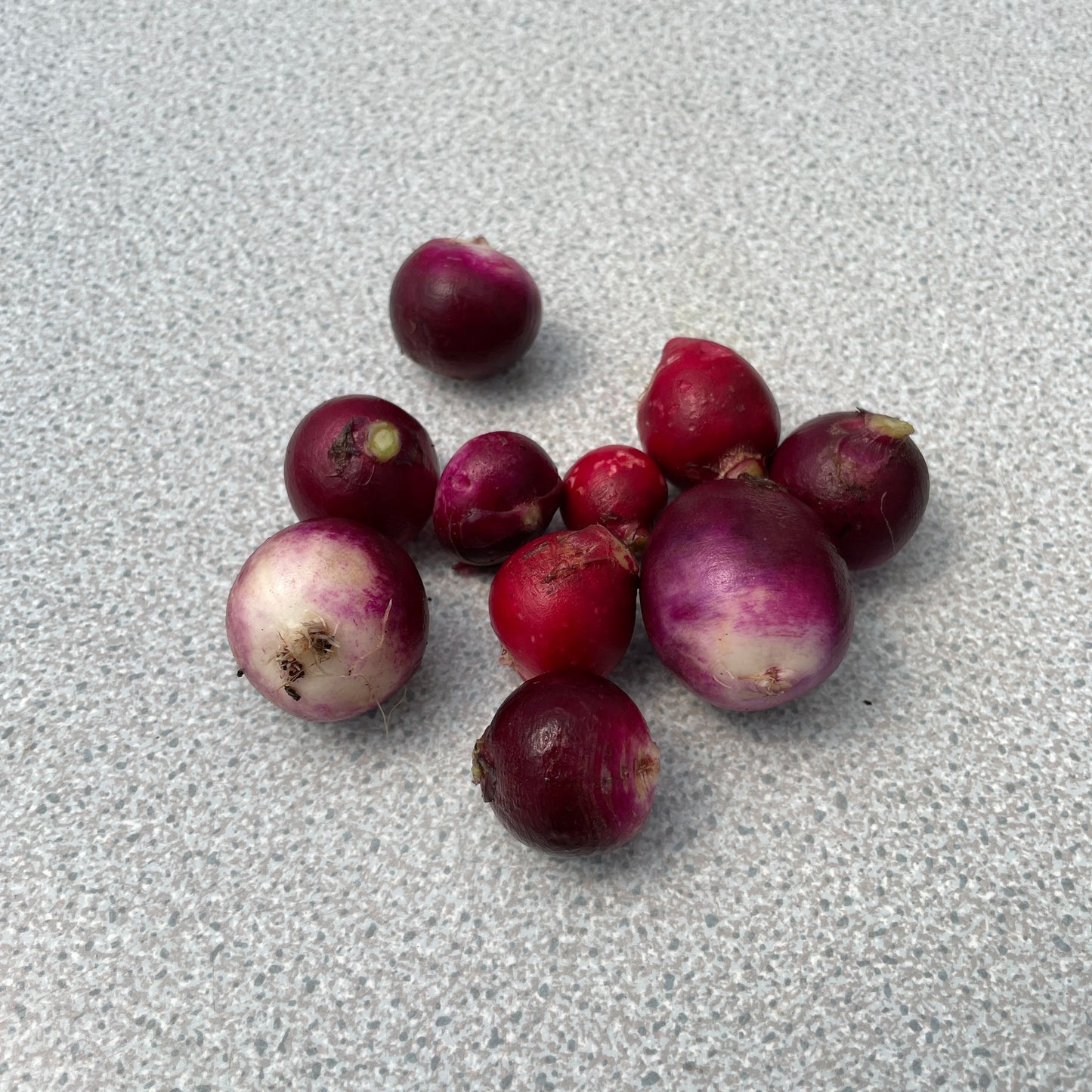 Small Box – EcoGro Farm